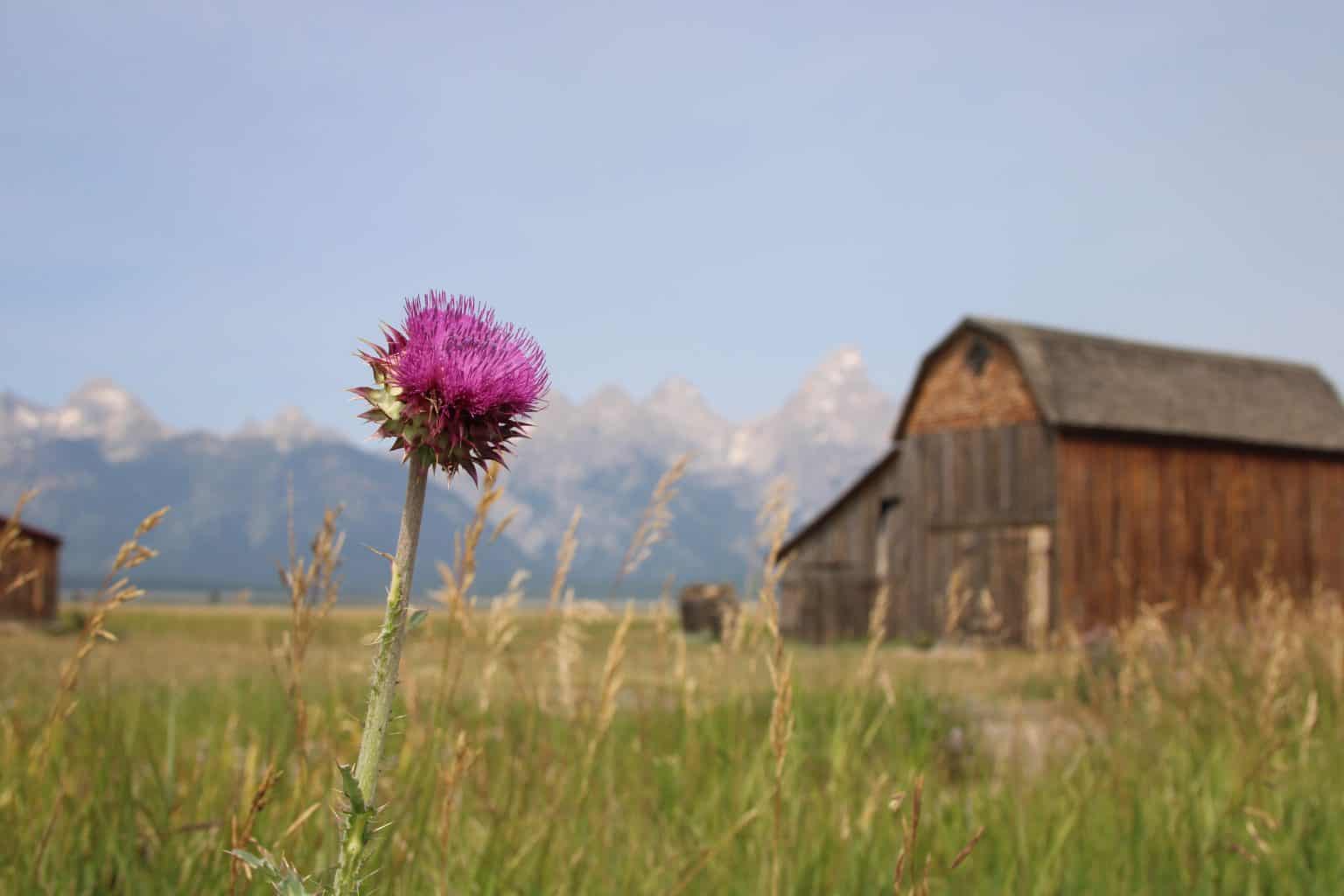 Visit Klosterøy Island and the Utstein Kloster: Norway's Best Kept ...