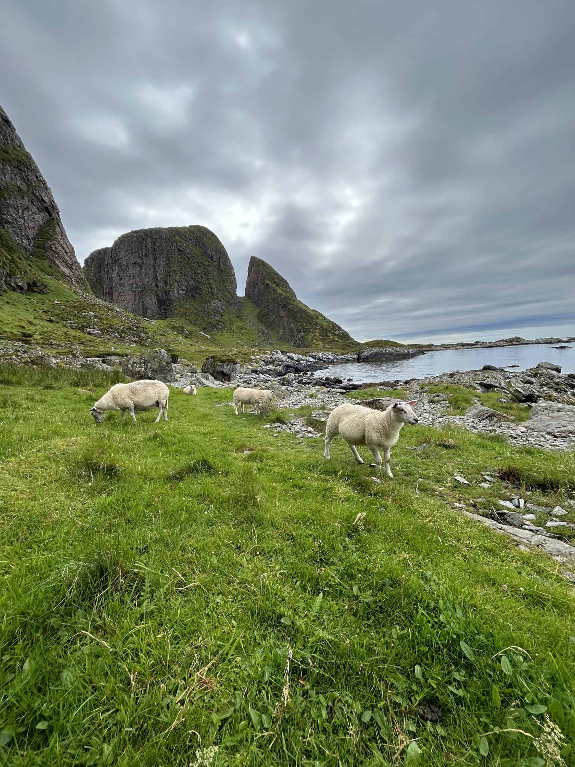 12 Essential Things to Know About Traveling to Norway - Shan Departing ...